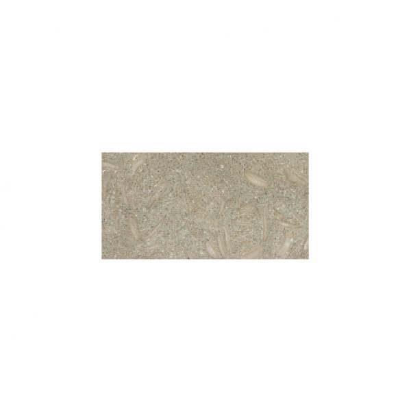 Atlantis 6" X 12" Honed Limestone Tile | Pera Tile