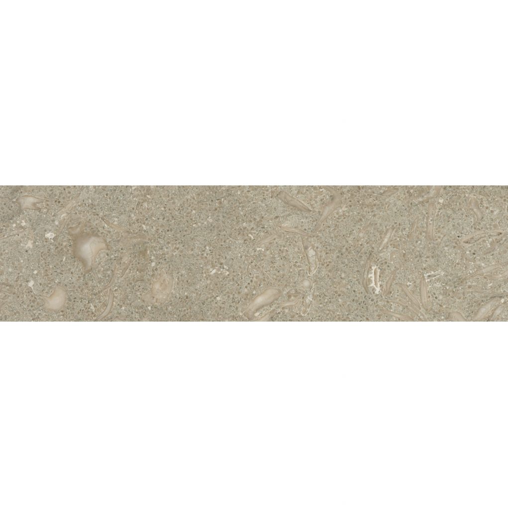 Atlantis 6" X 24" Honed Limestone Tile | Pera Tile