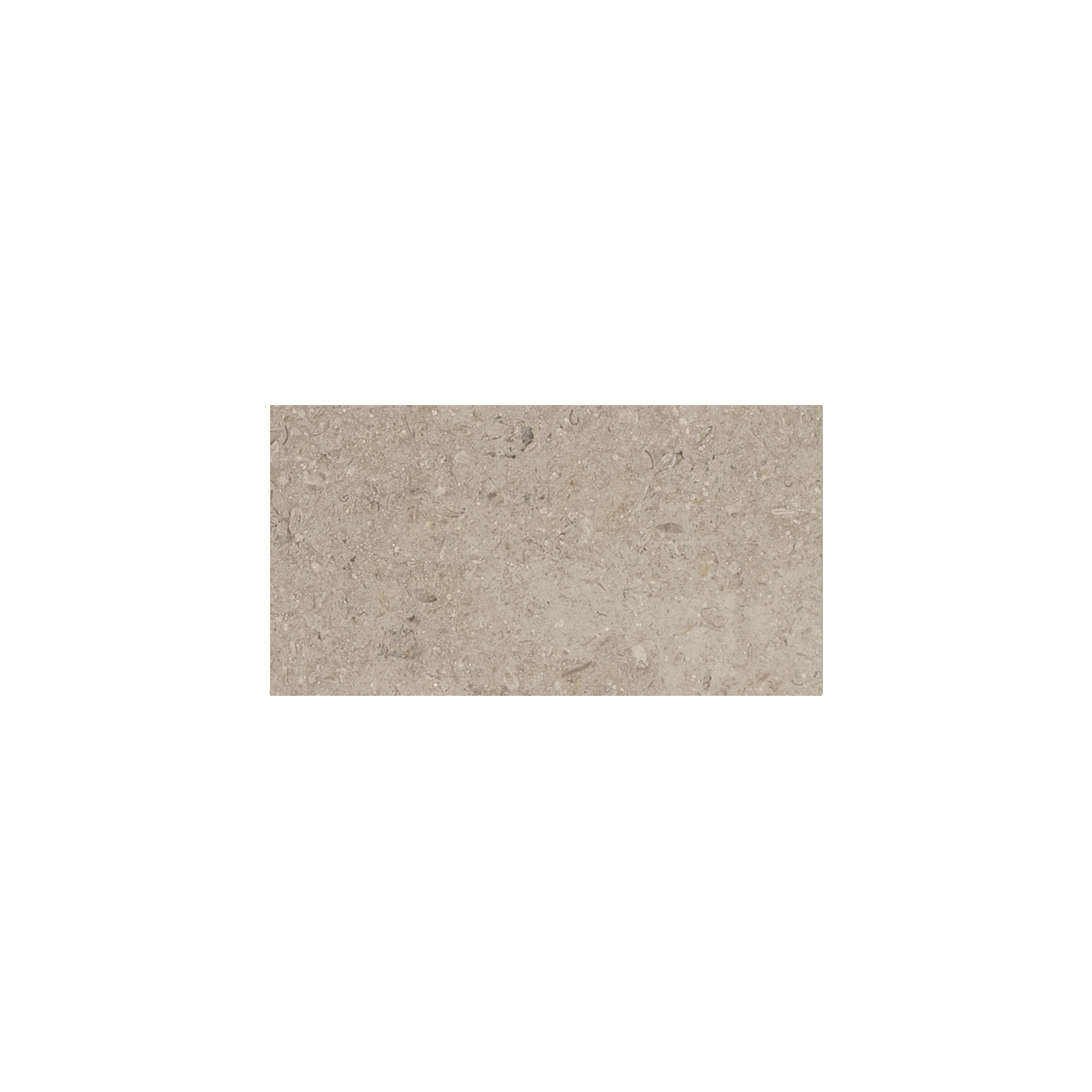 Memphis 6" X 12" Leather Limestone Tile | Pera Tile